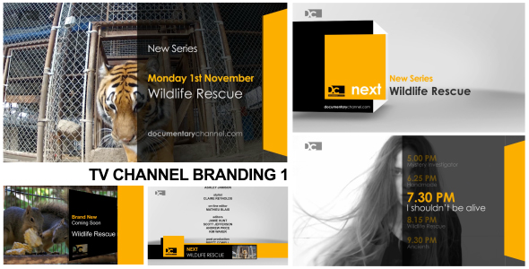 Broadcast Design - TV Channel Branding - IronykDesign